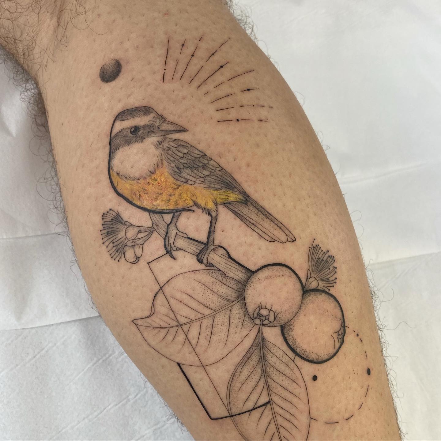 Tatuagem Fine Line: Conhecendo Estilos E Técnicas De Tattoo!