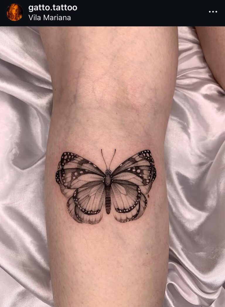 Tatuagem De Borboleta é Red Flag? Conheça Significados Reais
